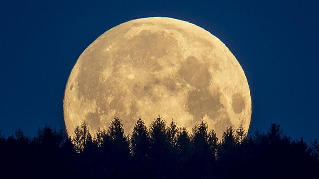 Makna Bulan Syawal dan Keistimewaannya | PT CAHAYA MADINAH WISATA